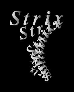 about Environmental Consulting services