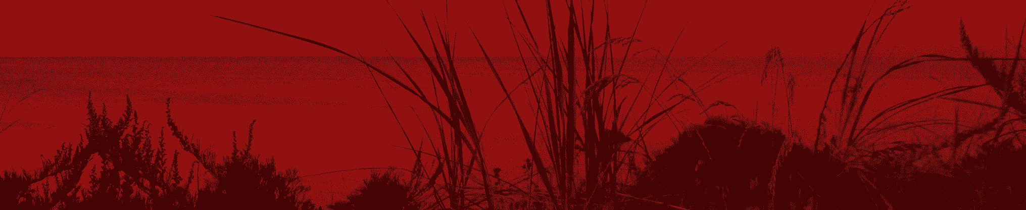 Contact Information for Strix Environmental